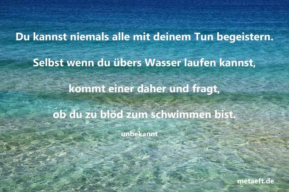 Du kannst niemals alle mit deinem Tun begeistern. - MetaEFT